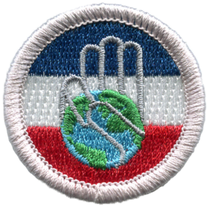 Citizenship in Society | Greater New York Councils, Boy Scouts of America